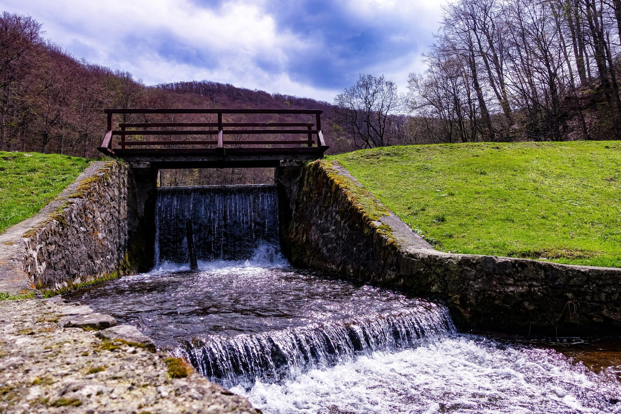 Golden plains of Slavonia